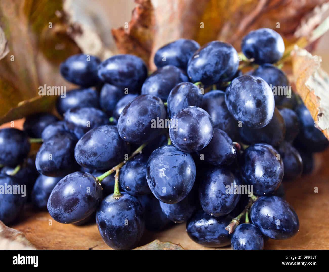 Blue grape hi-res stock photography and images - Alamy