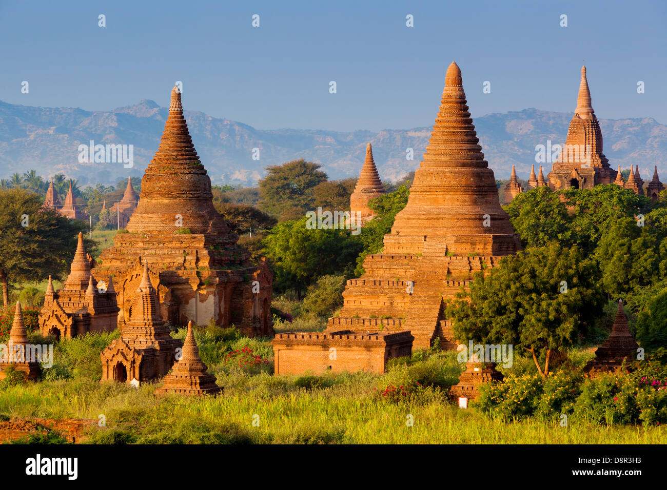 Some of the 4000 ancient temples on the plain of Bagan (or Pagan) in ...