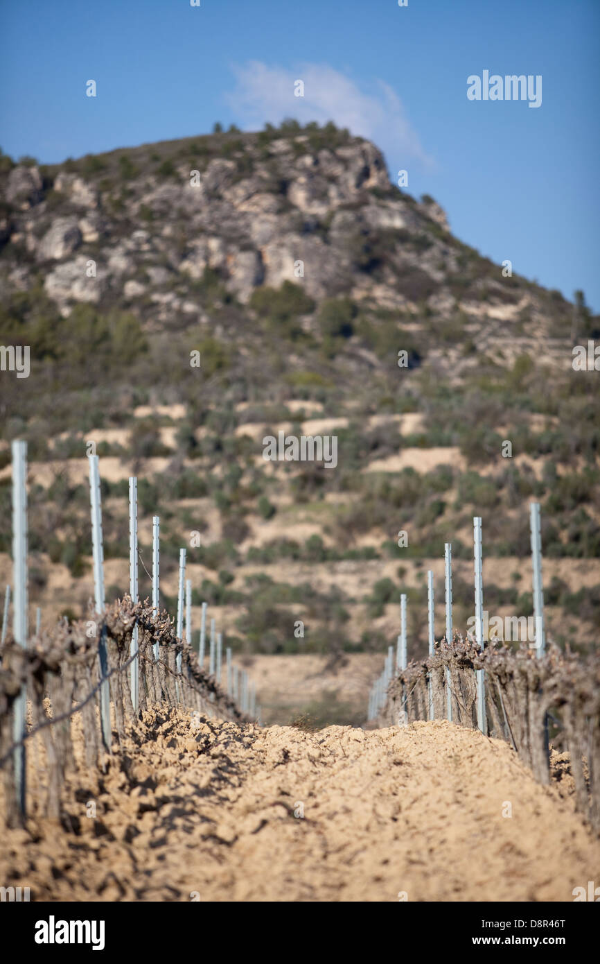 El Priorat High Resolution Stock Photography and Images - Alamy