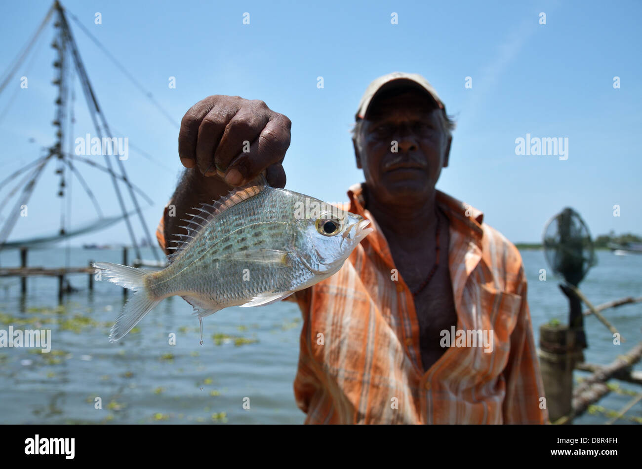 Fisherman holding a fish, Cochin, Kerala, India Stock Photo - Alamy