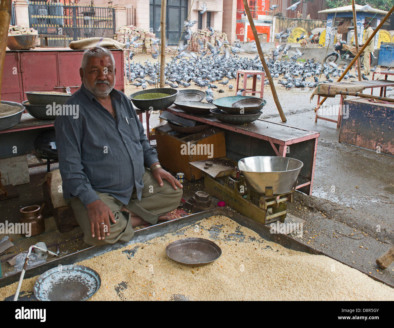 Hindu grain seller for pigeon feeding for religious purposes Jodphur ...