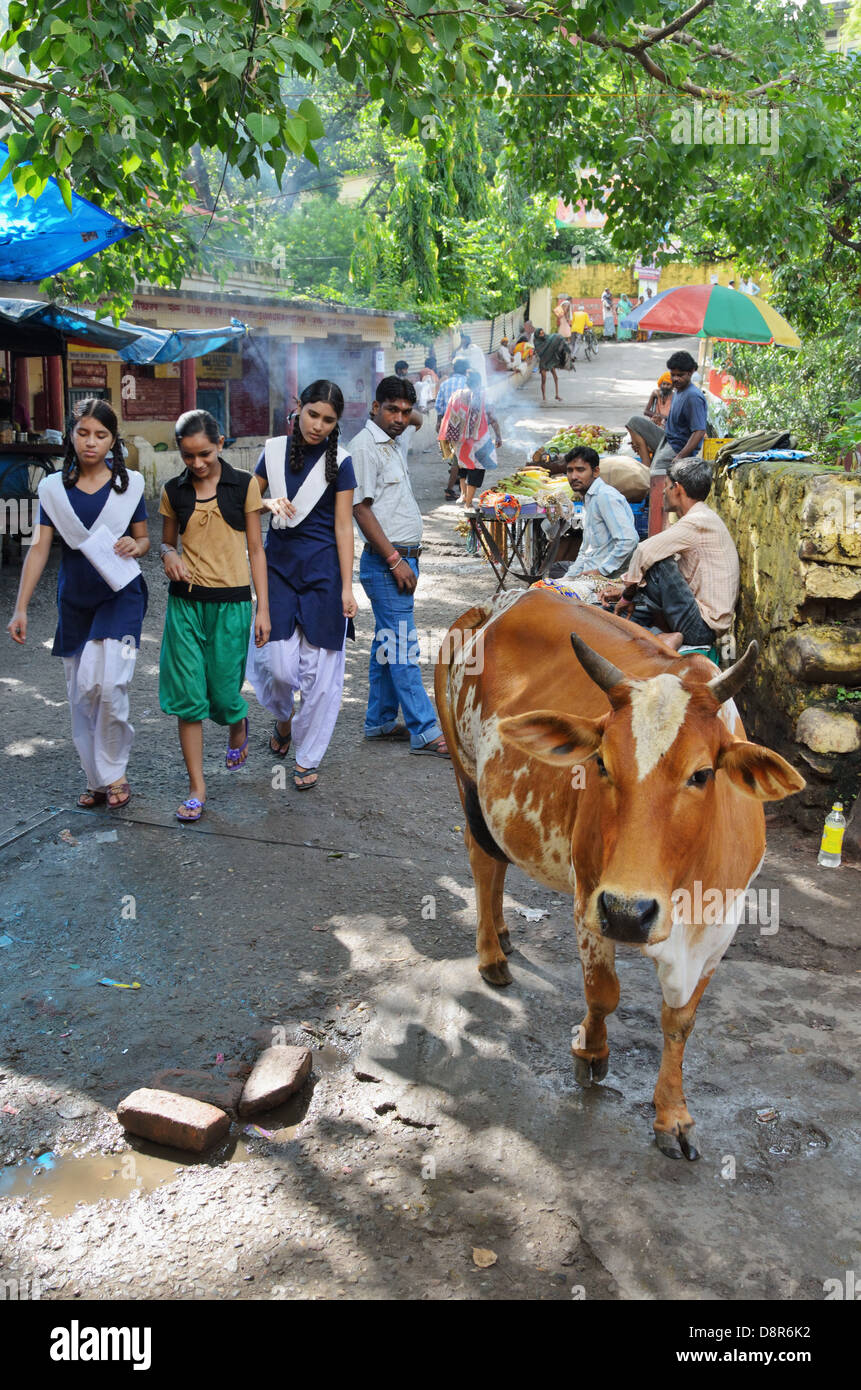 Street scene, Rishikesh, India Stock Photo - Alamy