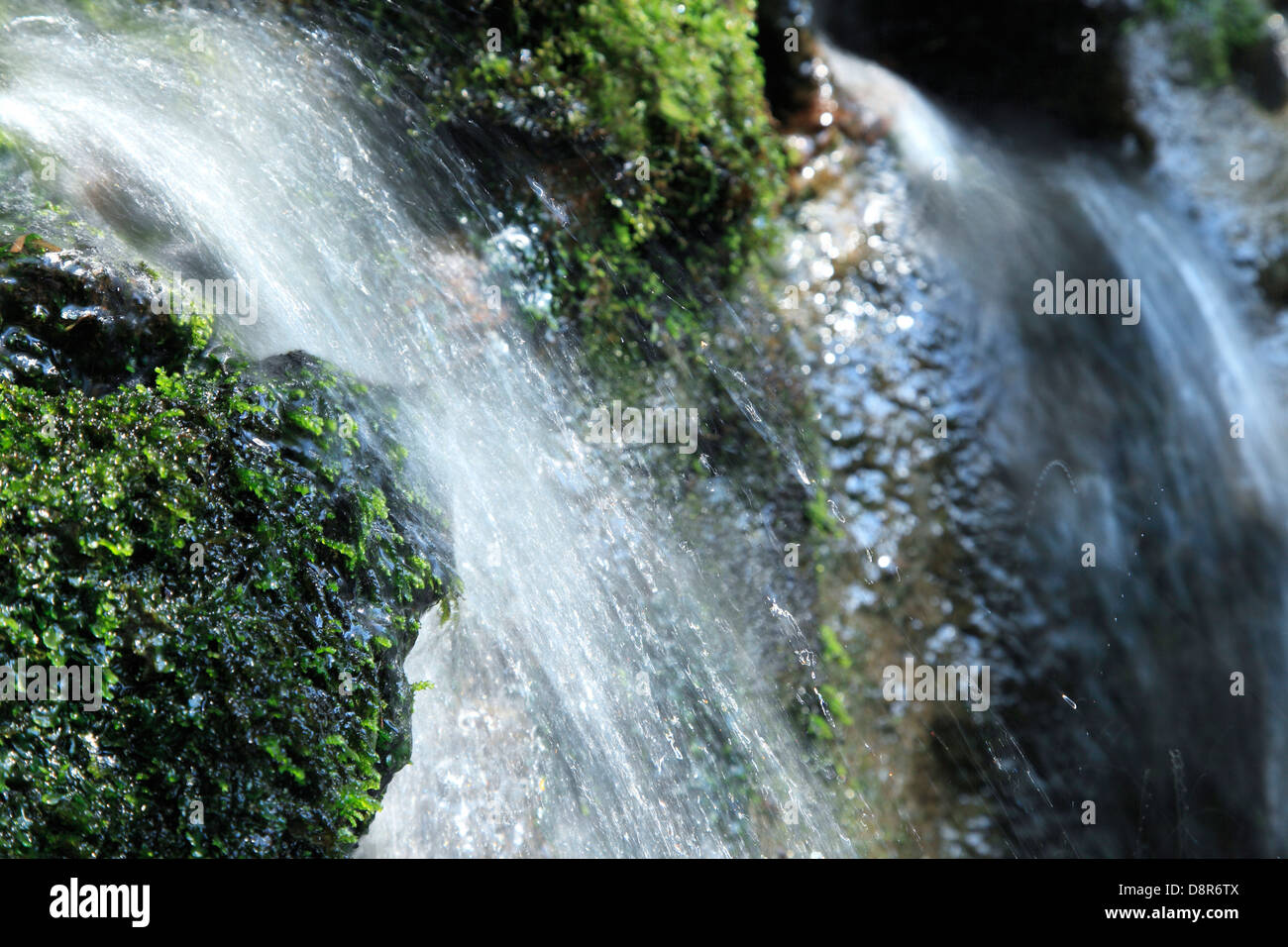 Spring Water High Resolution Stock Photography and Images - Alamy