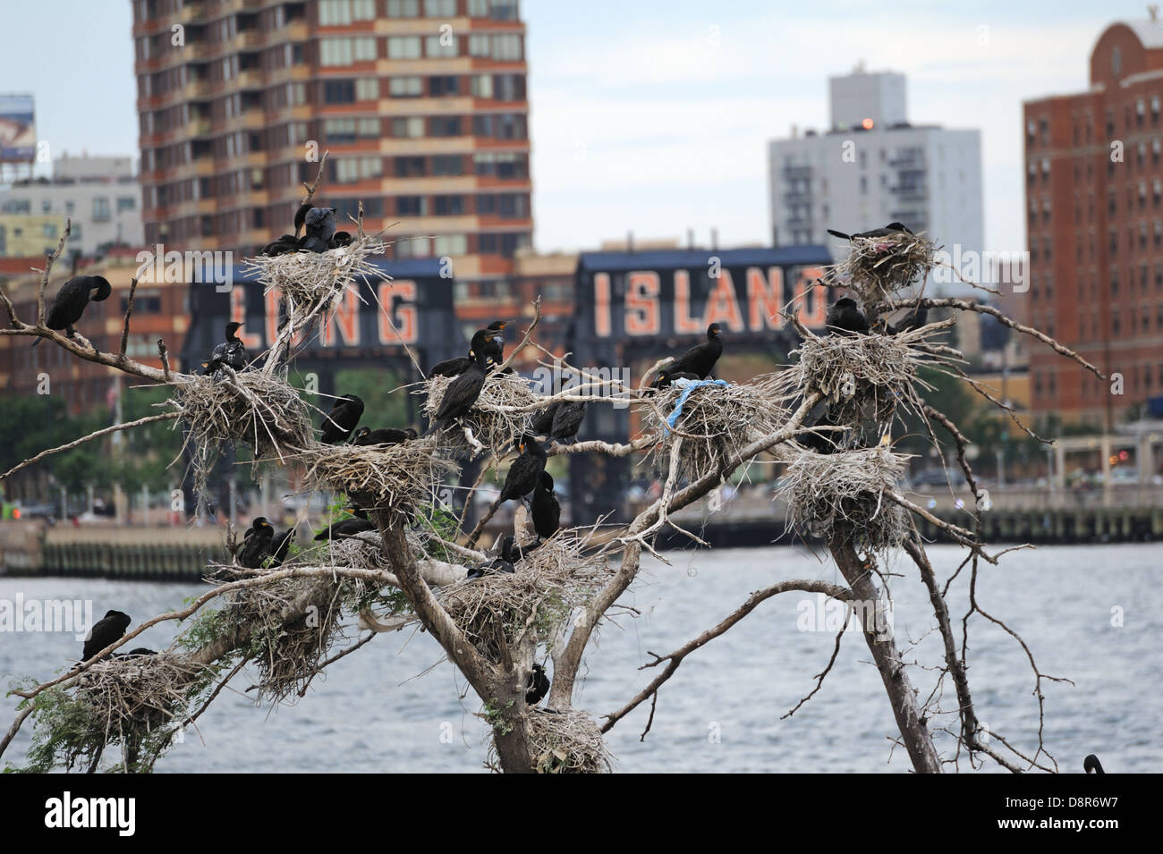 Thant island hi-res stock photography and images - Alamy