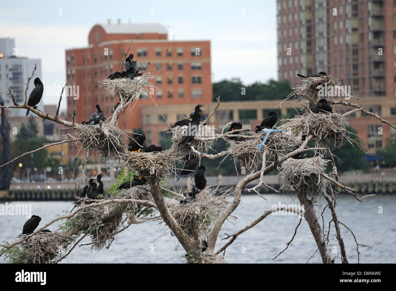 U thant island hi-res stock photography and images - Alamy