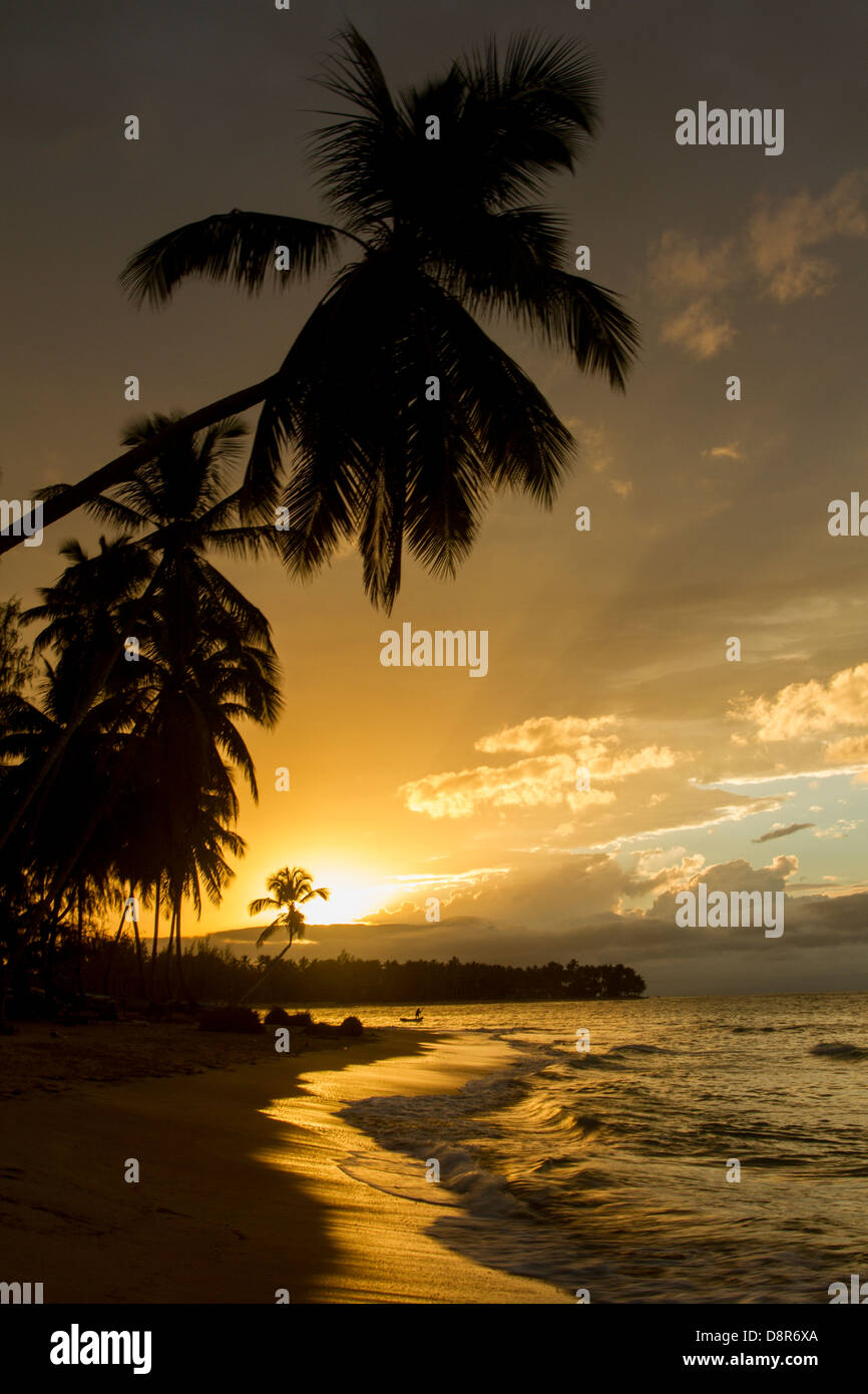 Sunset in Punta Poppy beach, Dominican Republic Stock Photo - Alamy