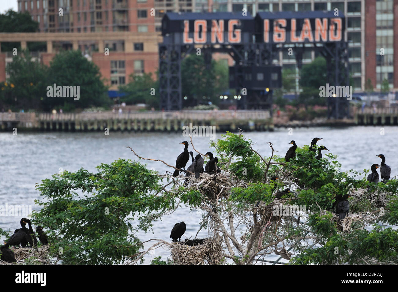 U thant island hi-res stock photography and images - Alamy