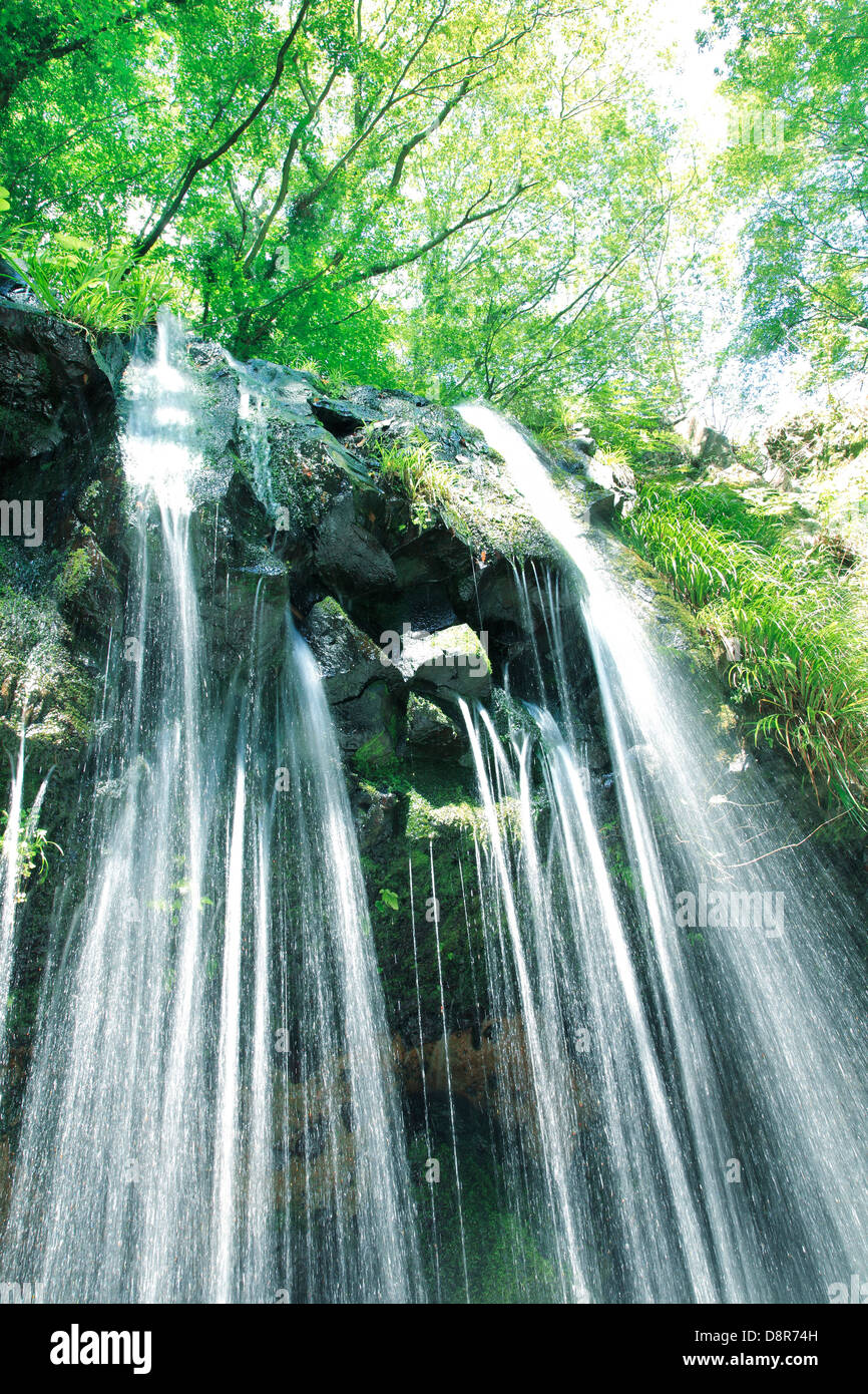 Jimba jimba hi-res stock photography and images - Alamy