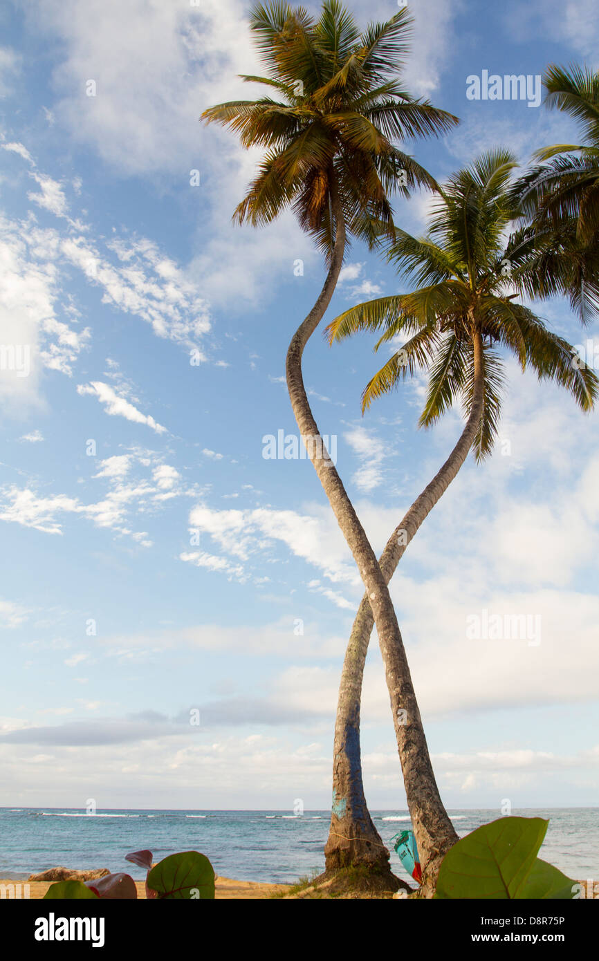 Las Terrenas, Dominican Republic Stock Photo - Alamy