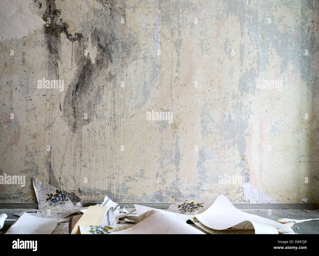 Old grunge room concrete hi-res stock photography and images - Alamy