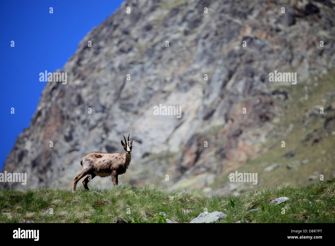 The Gordolasque valley in the Alpes-Maritimes in the Mercantour ...