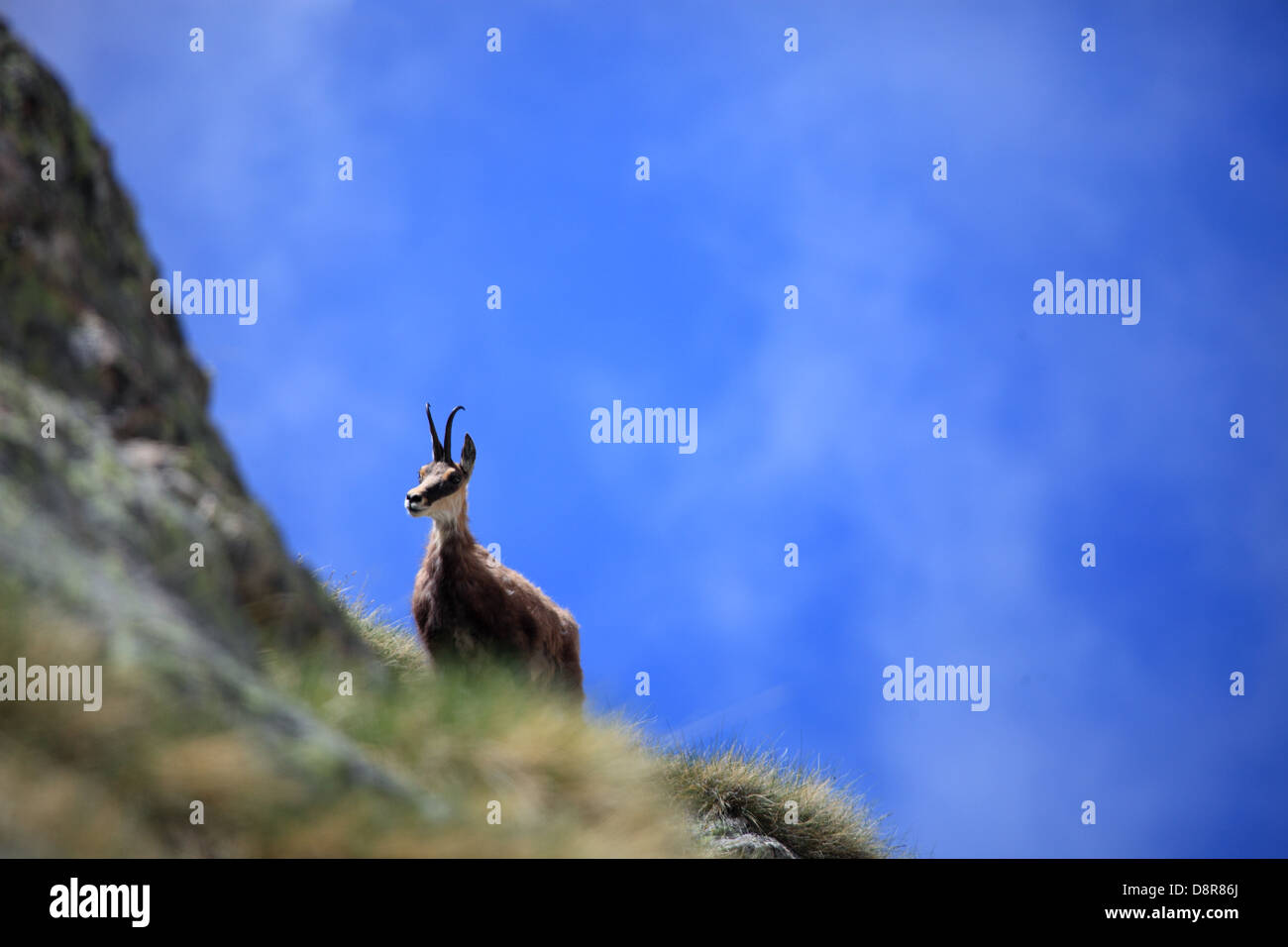 The Gordolasque valley in the Alpes-Maritimes in the Mercantour ...