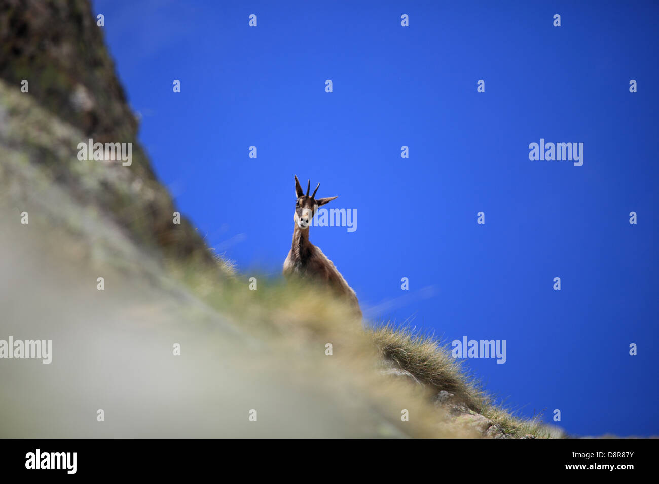The Gordolasque valley in the Alpes-Maritimes in the Mercantour ...