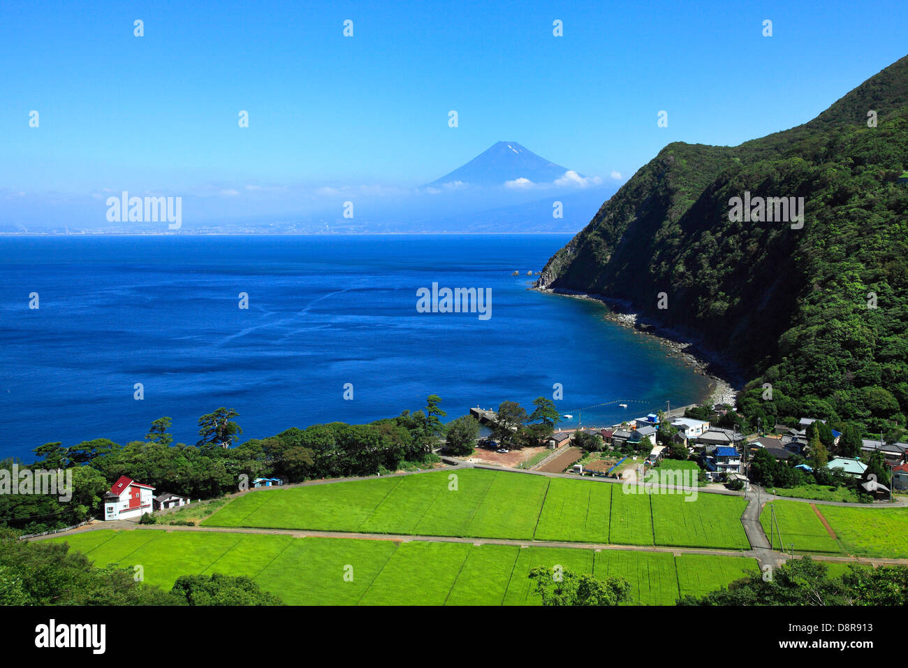 Mount Fuji and Suruga Bay, Shizuoka Prefecture Stock Photo - Alamy