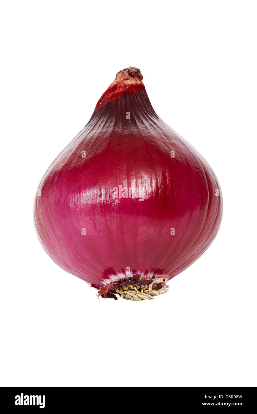 A whole fresh red onion isolated against a white background Stock Photo ...