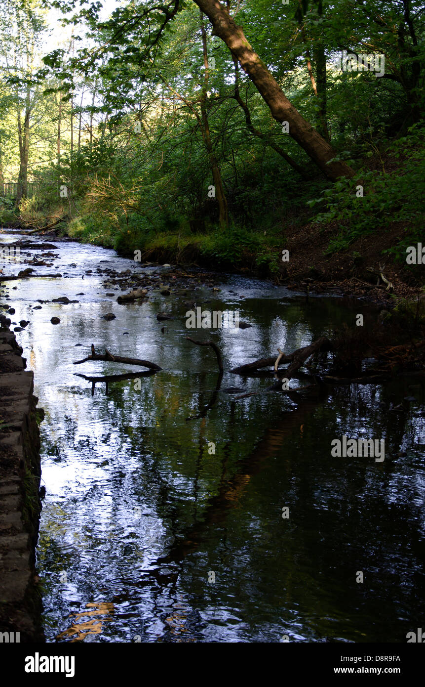 The "Braid Burn" stream running through the Hermitage in Edinburgh ...