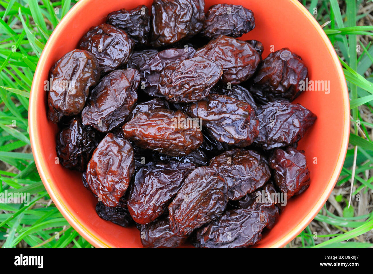 How to prune hi-res stock photography and images - Alamy