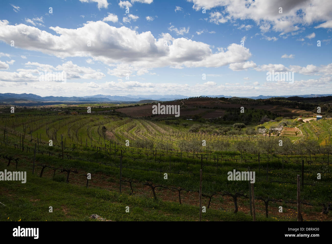 Falset spain hi-res stock photography and images - Alamy