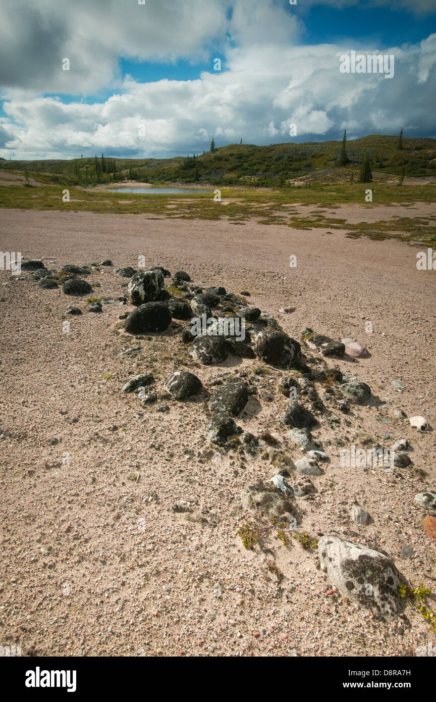 Tundra landscape at The Barrenlands, near Whitefish lake, Northwest ...