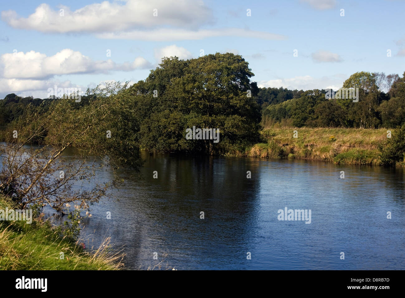 The River Ure flowing through the lower part of Wensleydale near to ...