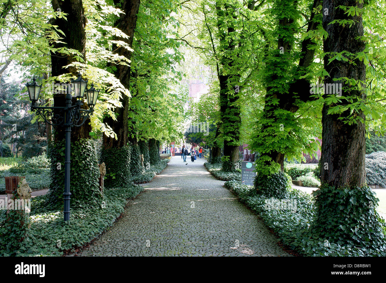 Wroclaw Botanical Garden in the spring Stock Photo - Alamy