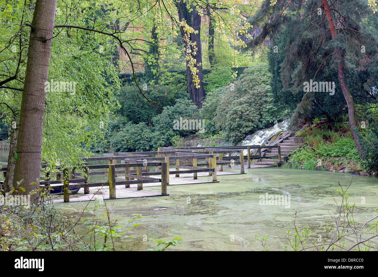 Wroclaw Botanical Garden in the spring Stock Photo - Alamy