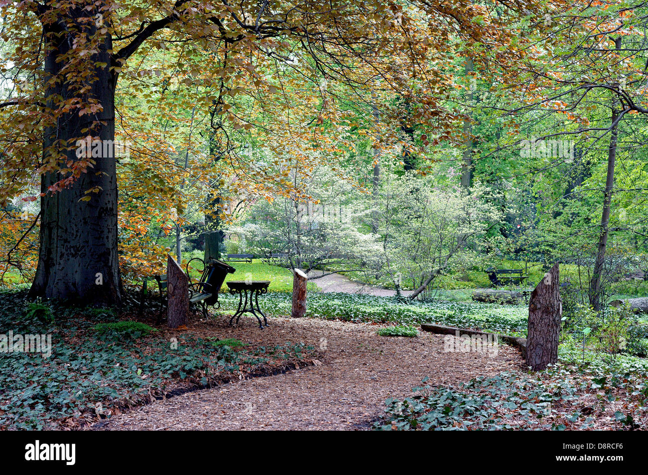 Spring botanical garden hi-res stock photography and images - Alamy