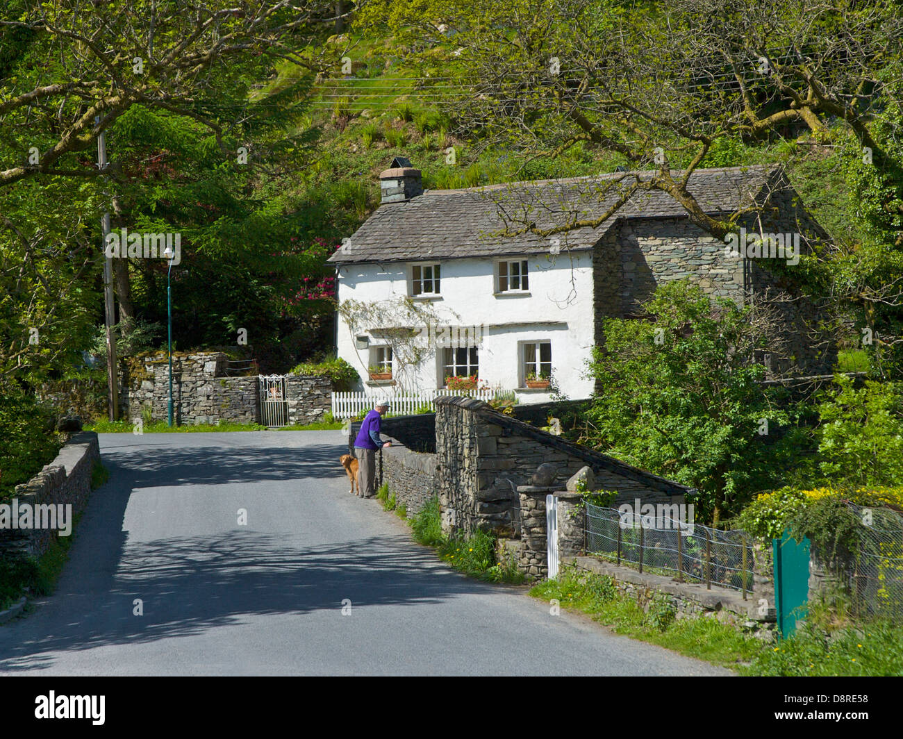 Man and dog in the village of Elterwater, Langdale, Lake District ...