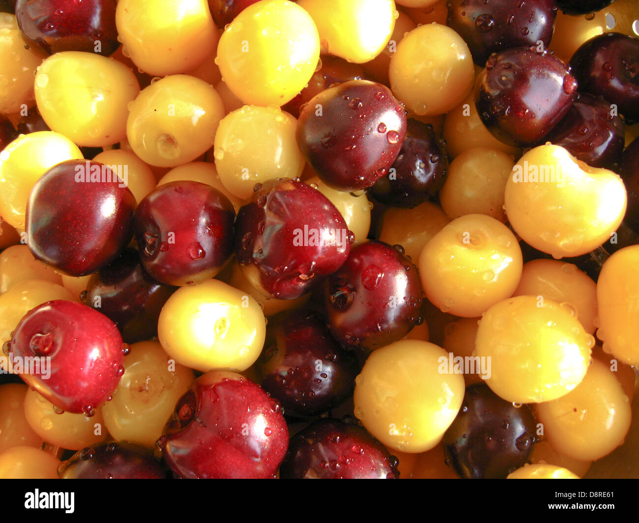 Cherry blossoms wash hi-res stock photography and images - Alamy