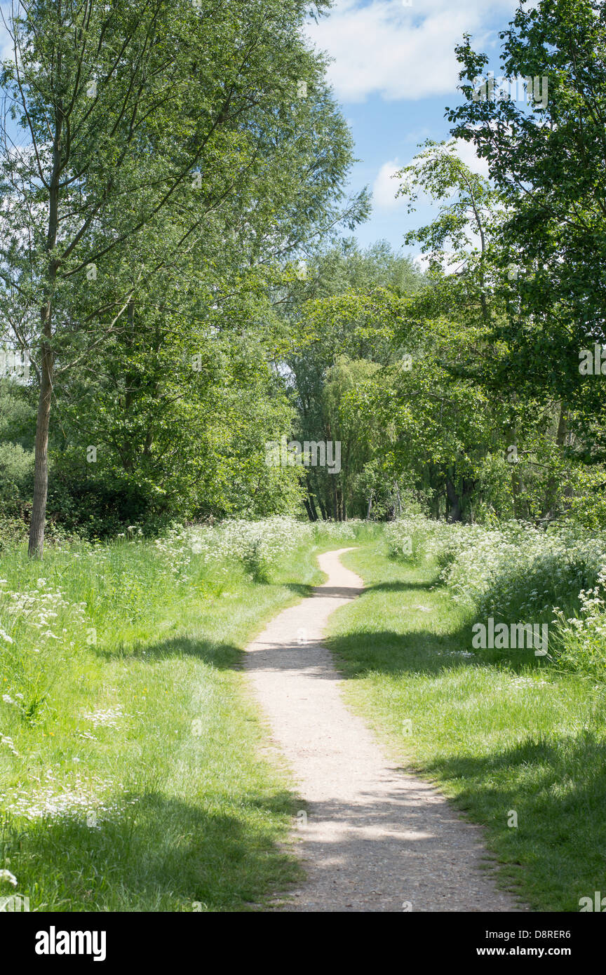 A footpath in the countryside Stock Photo - Alamy