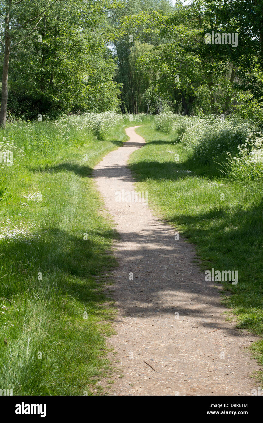 A footpath in the countryside Stock Photo - Alamy