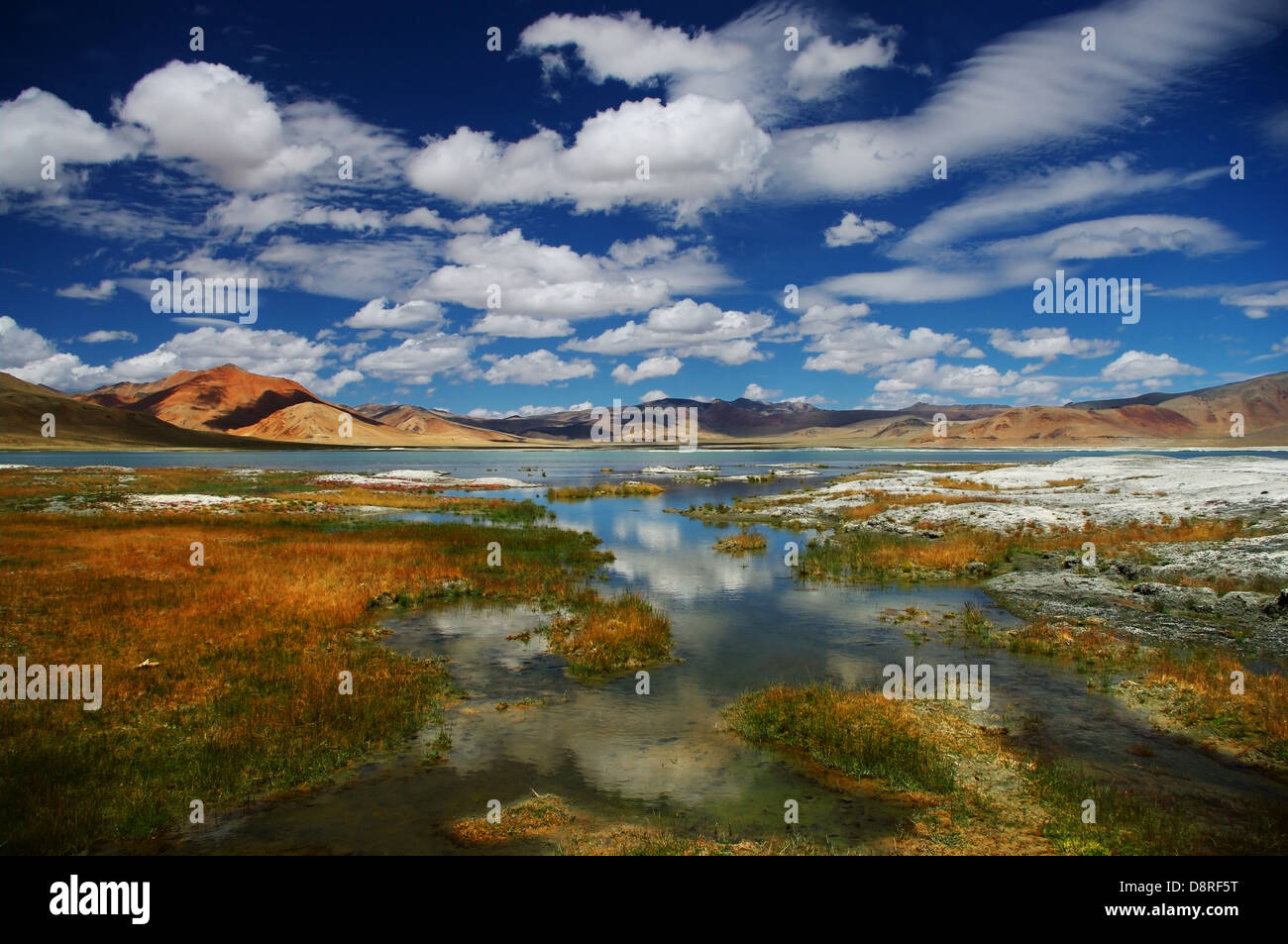 Tso kar lake, ladakh, India Stock Photo - Alamy