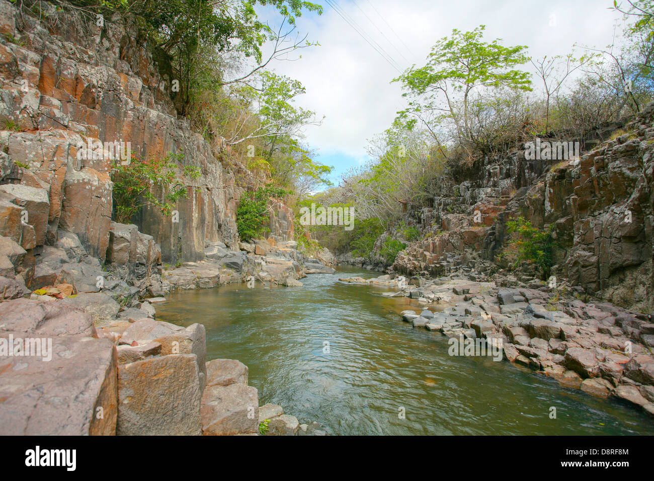 Stream in the tropical forest Stock Photo - Alamy