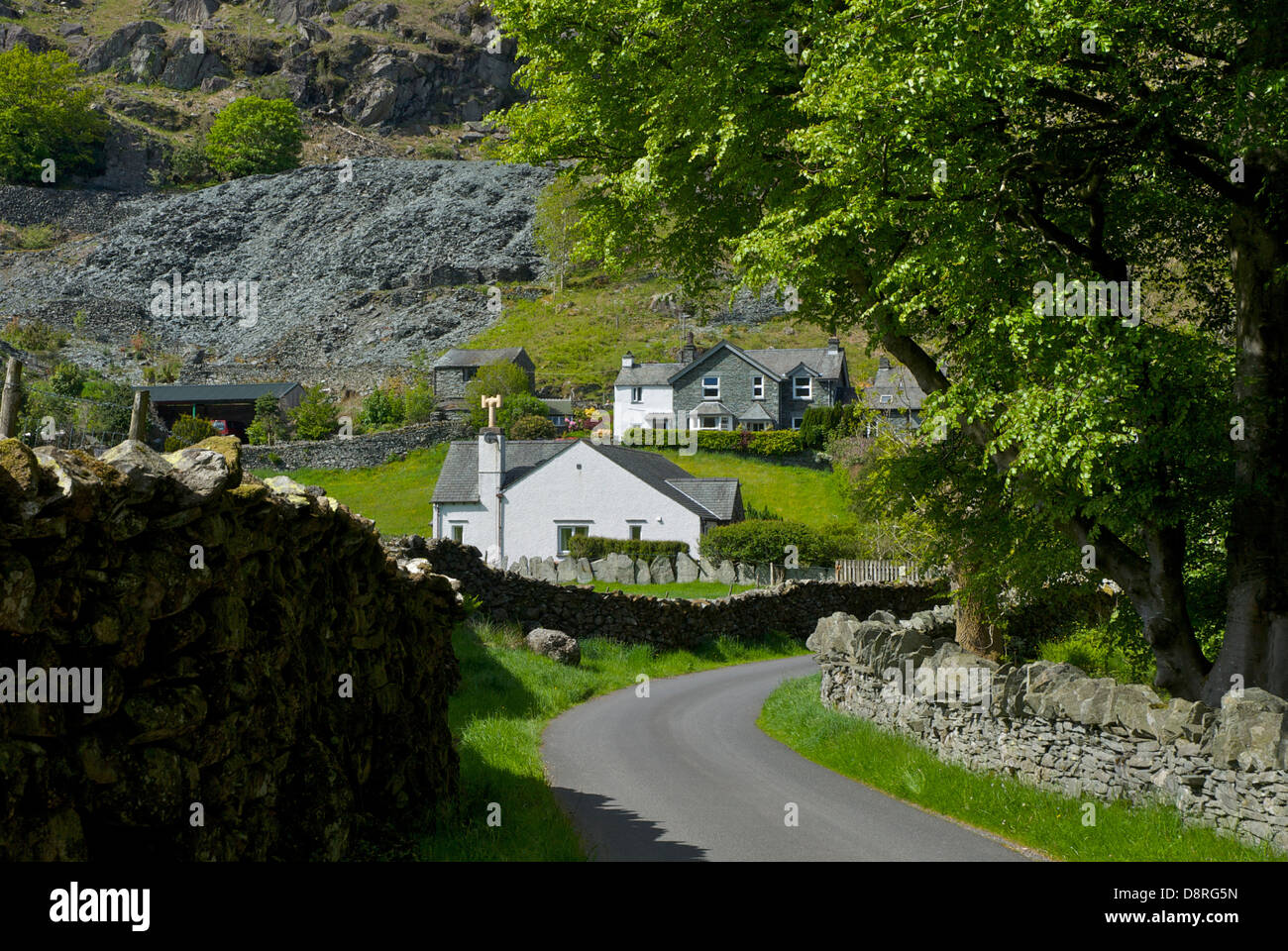 Houses in the village of Chapel Stile, Langdale, Lake District National ...