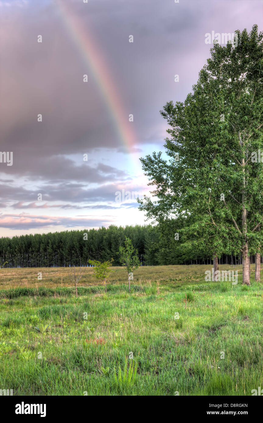 Rainbow over the country Stock Photo - Alamy