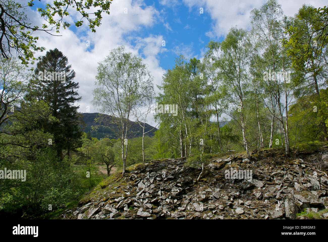 Abandoned slate quarry near Elterwater, Langdale, Lake District ...