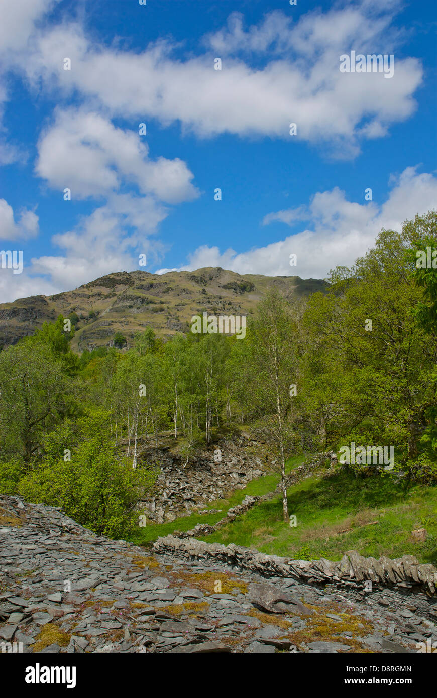 Abandoned slate quarry near Elterwater, Langdale, Lake District ...