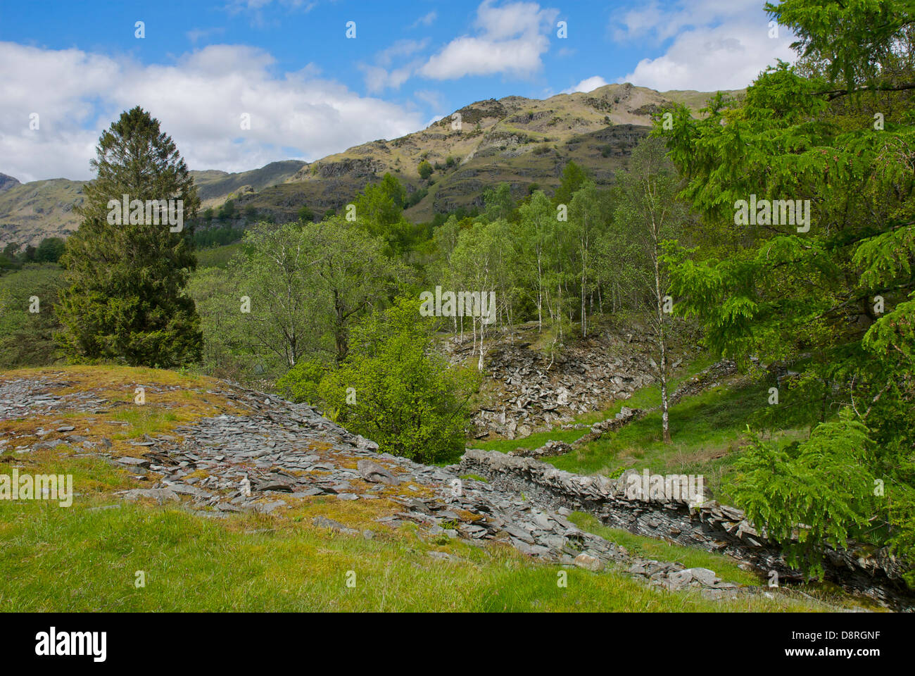 Abandoned slate quarry near Elterwater, Langdale, Lake District ...