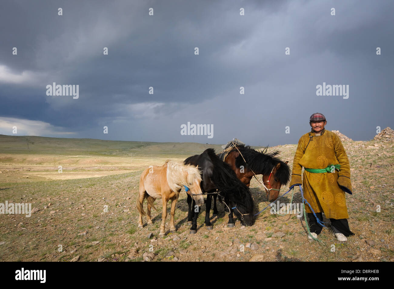 Life in ruralMongolia Stock Photo - Alamy