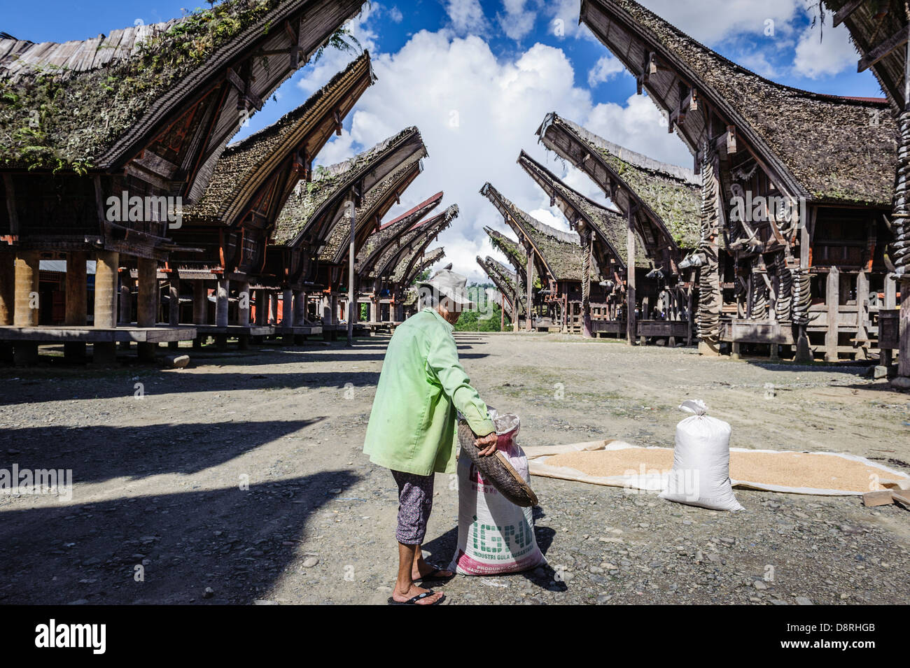 Palawa tribe hi-res stock photography and images - Alamy