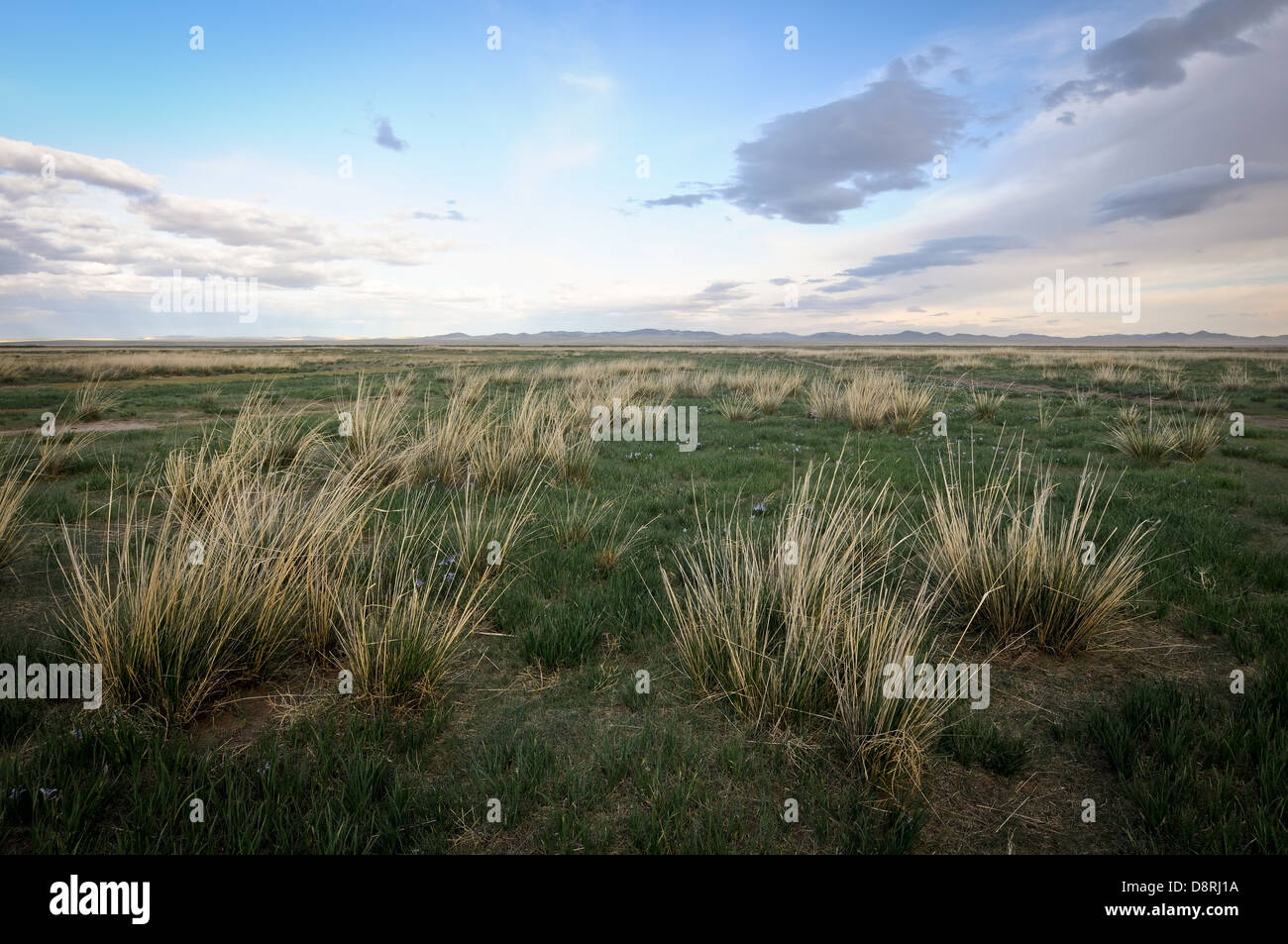 Beautiful mongolia landscape hi-res stock photography and images - Alamy