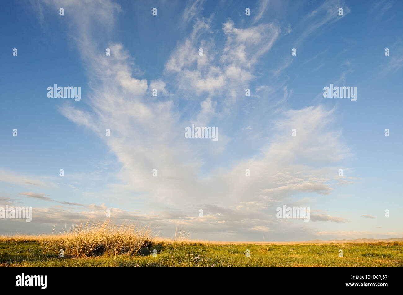 Mongolian landscape hi-res stock photography and images - Alamy