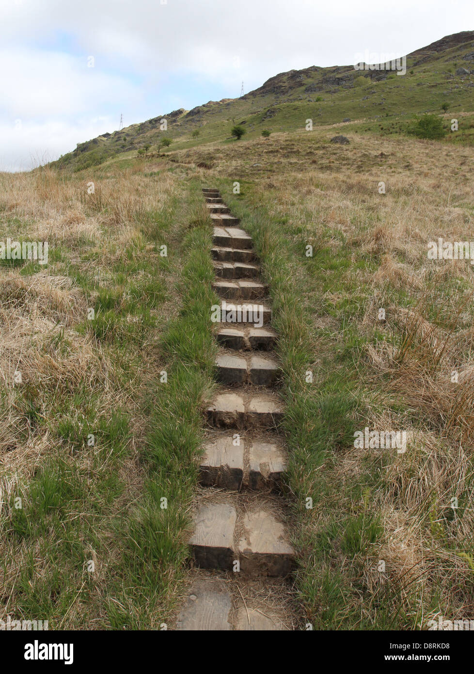 Wooden steps on West Highland Way leading to hamlet of Bridge of Orchy ...