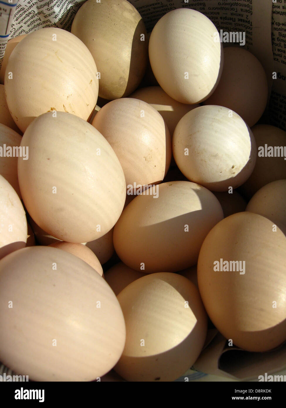 The image of many tasty eggs of the hen Stock Photo - Alamy