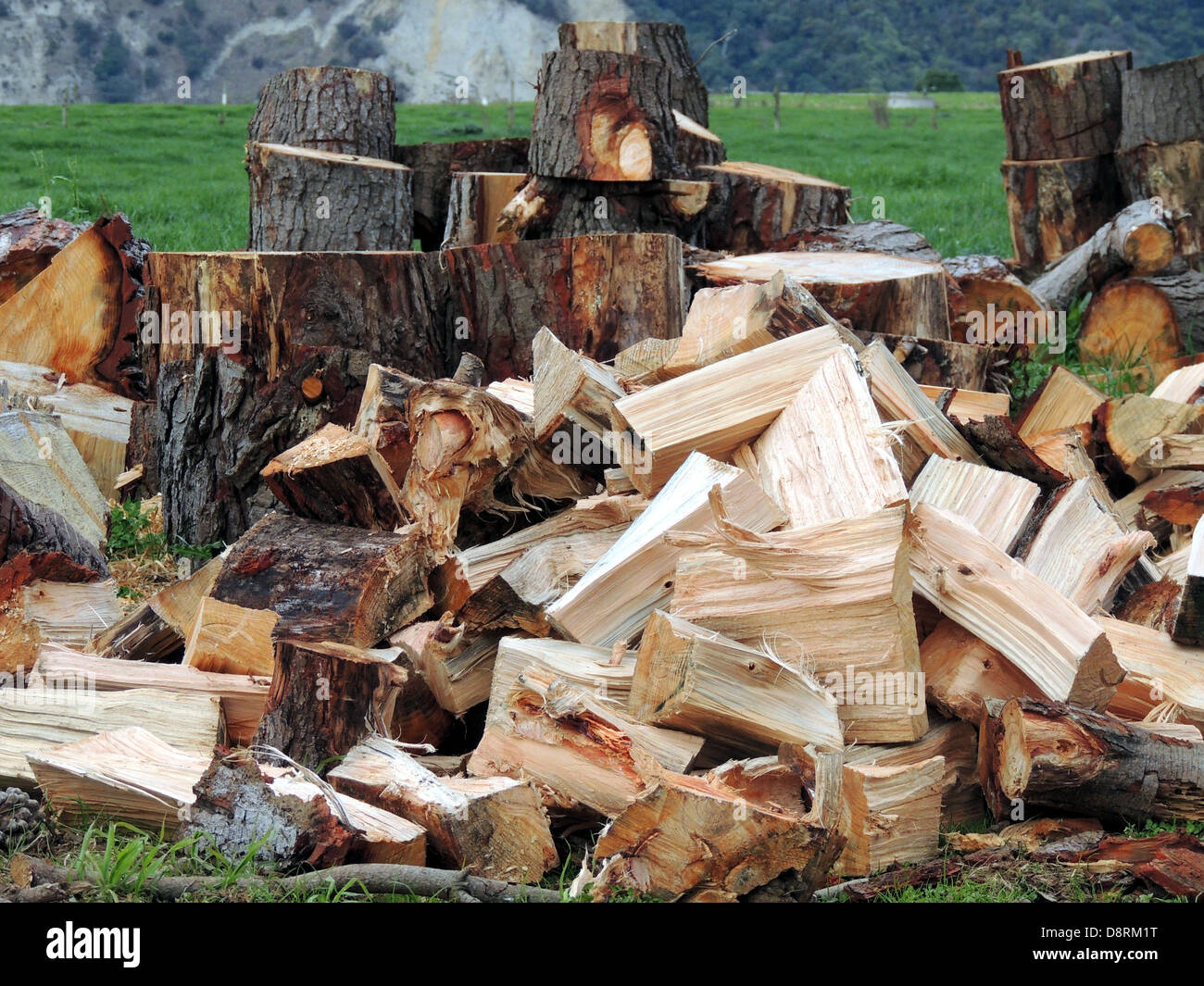 Bark firewood hi-res stock photography and images - Alamy