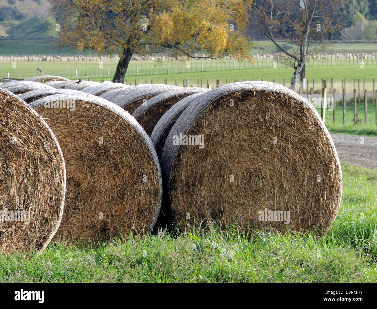 Farmer and hay bales hi-res stock photography and images - Alamy