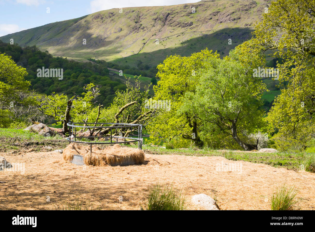 Hay pen on the hillside in the Lake District Stock Photo - Alamy
