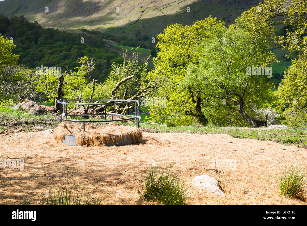 Pen hay farm hi-res stock photography and images - Alamy