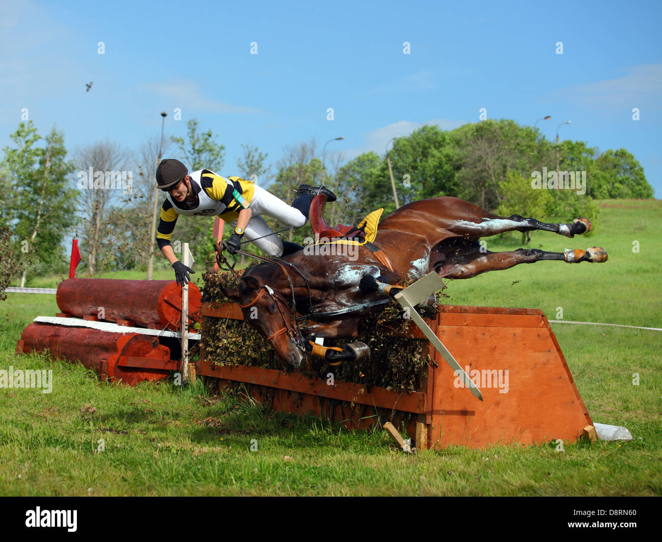 Cross country rider falling at fence Stock Photo - Alamy