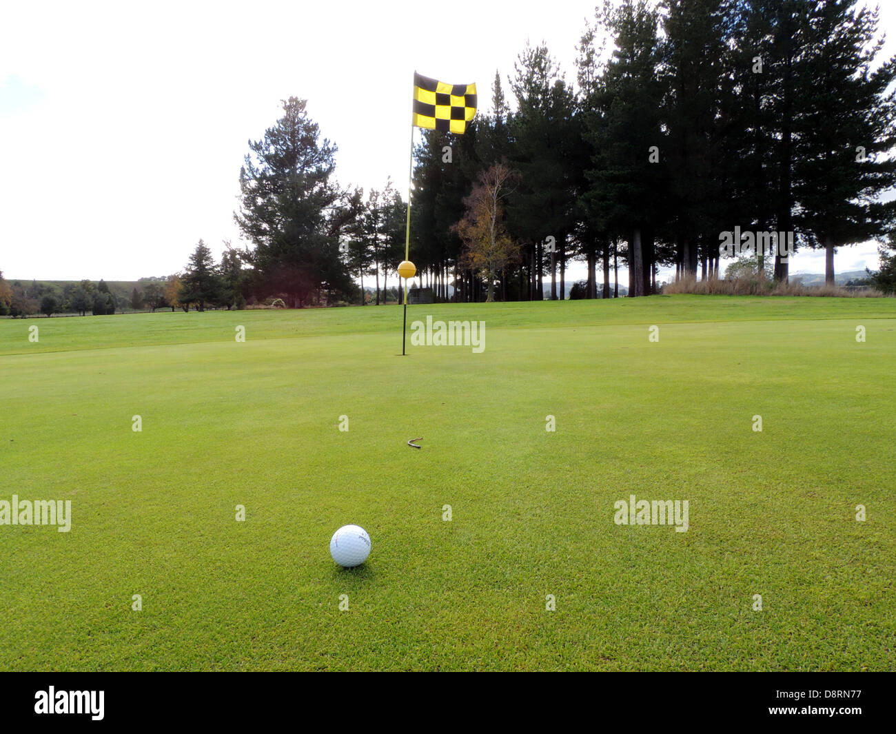 Golf birdie putt hi-res stock photography and images - Alamy